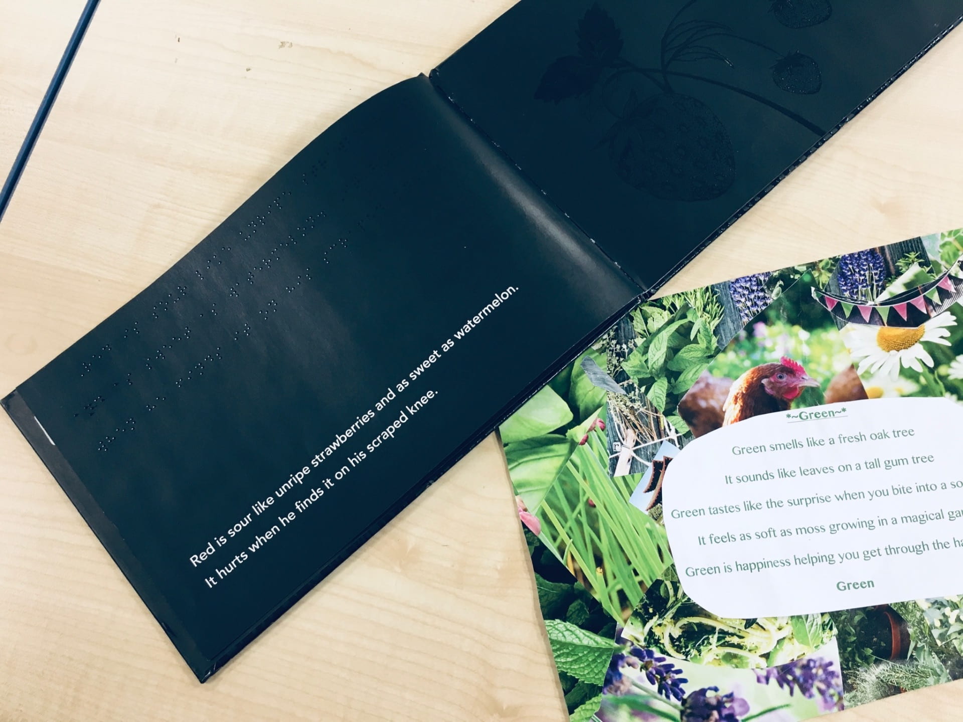 Students inspired after reading The Black Book of Colors – Unley ...