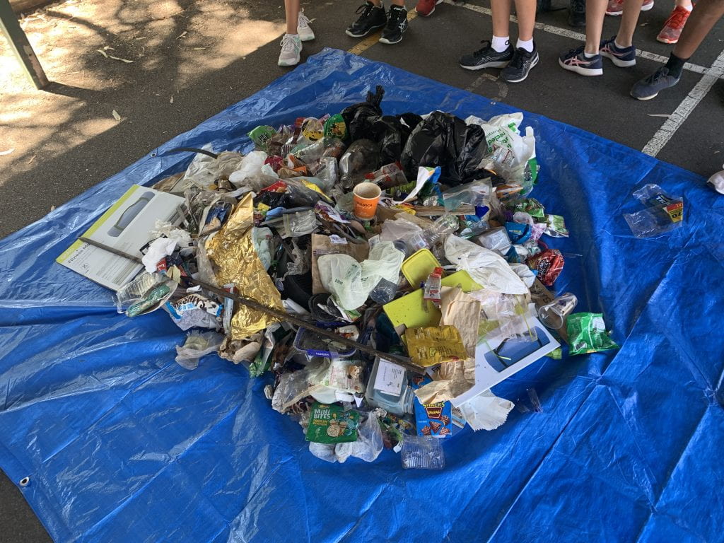 Clean Up Australia Day – Unley Primary School News