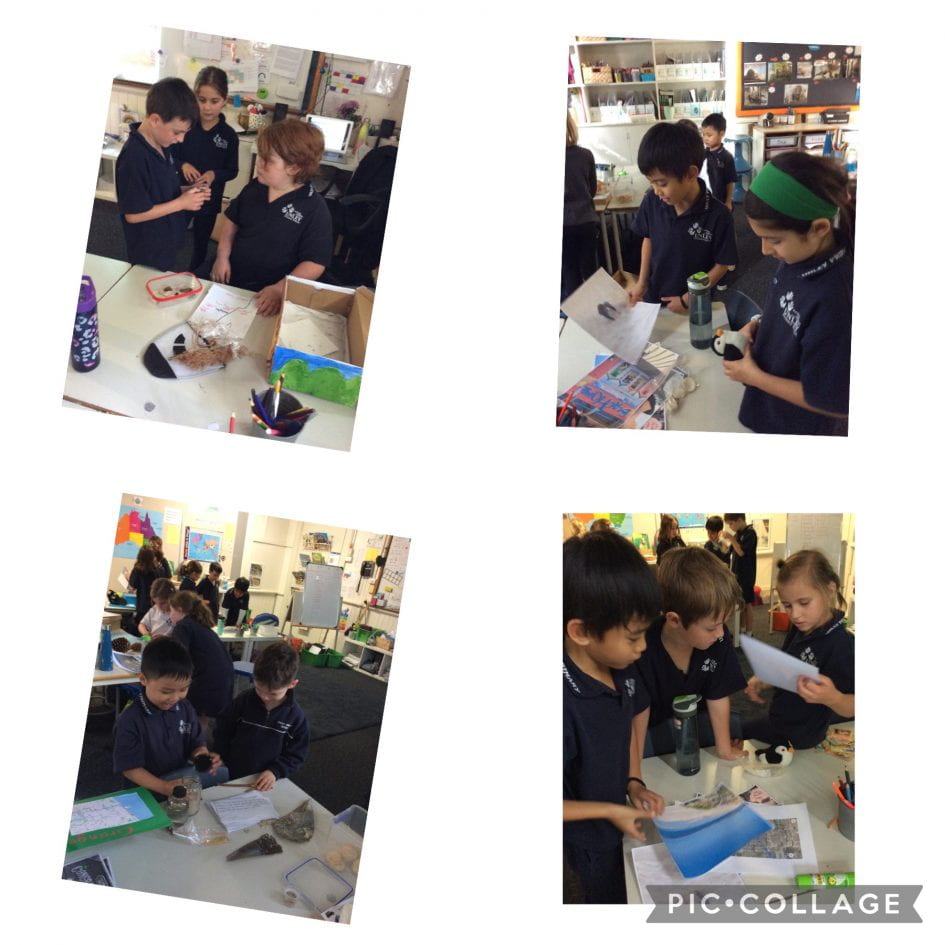Year 2 Geography – Room 15 – Unley Primary School News